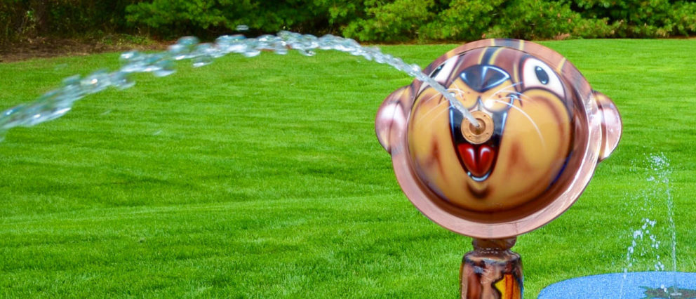 Single Axis Water Cannon Water Play Features by My Splash Pad