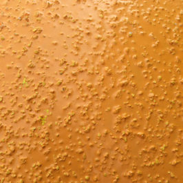 Anti-Slip & Non-Slip Coating by My Splash Pad