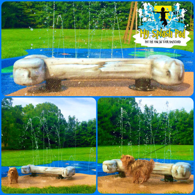 Dog Bowl Portable Water Play Features for Your Splash Pad