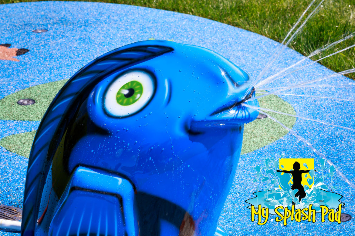 Fish Water Play Feature by My Splash Pad