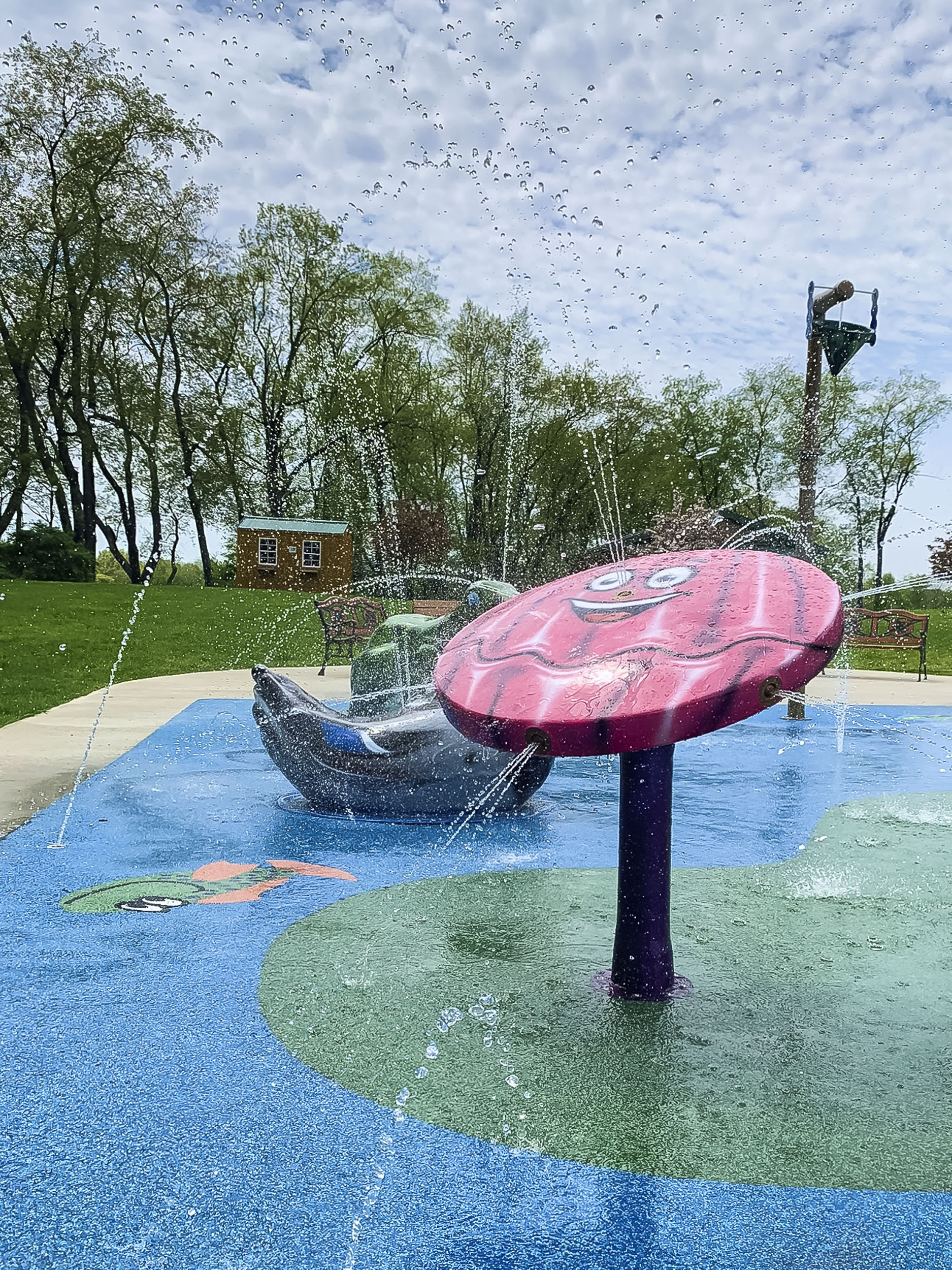Clam Water Play Features