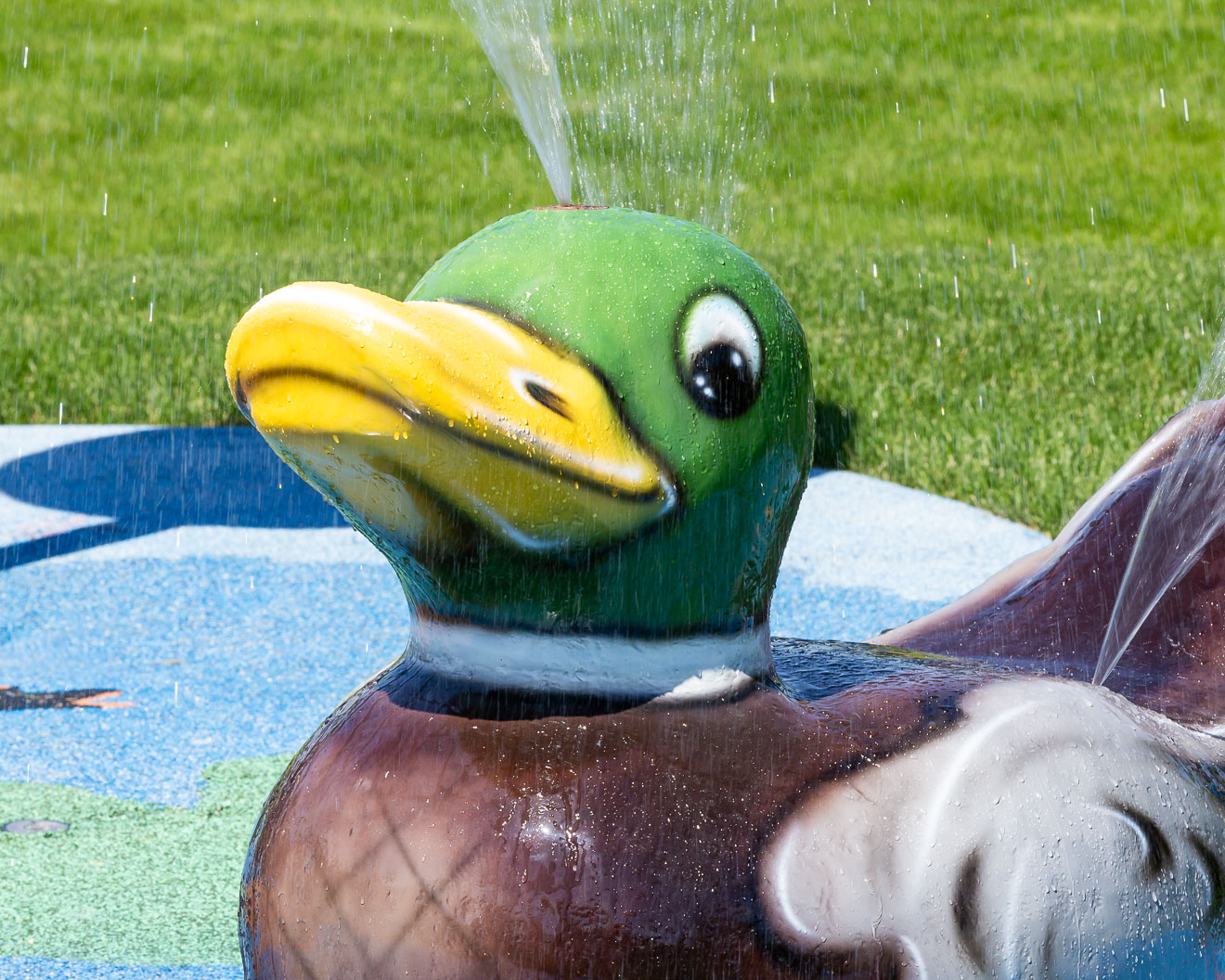 Duck Water Play Feature by My Splash Pad