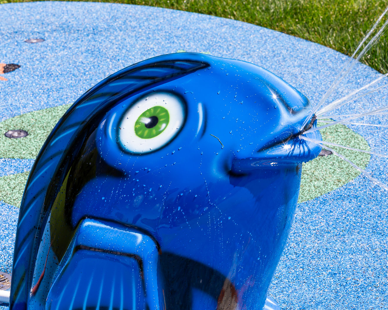 Fish Water Play Feature by My Splash Pad