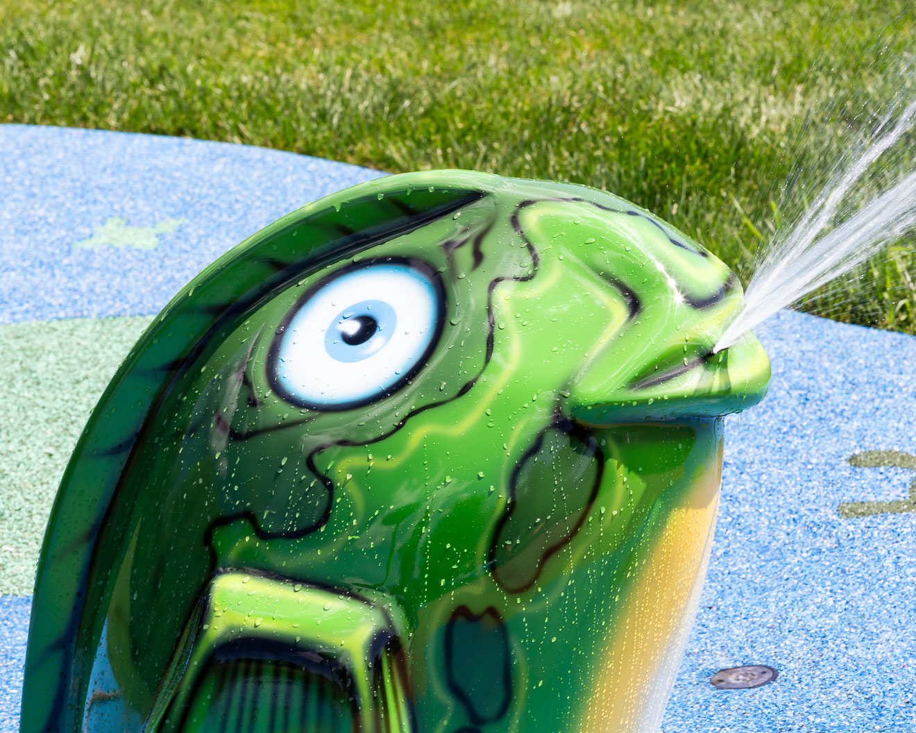 Fish Water Play Feature by My Splash Pad