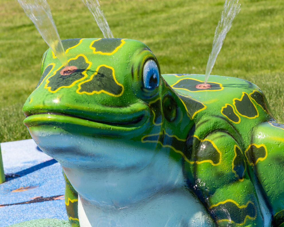 Frog Water Play Features by My Splash Pad